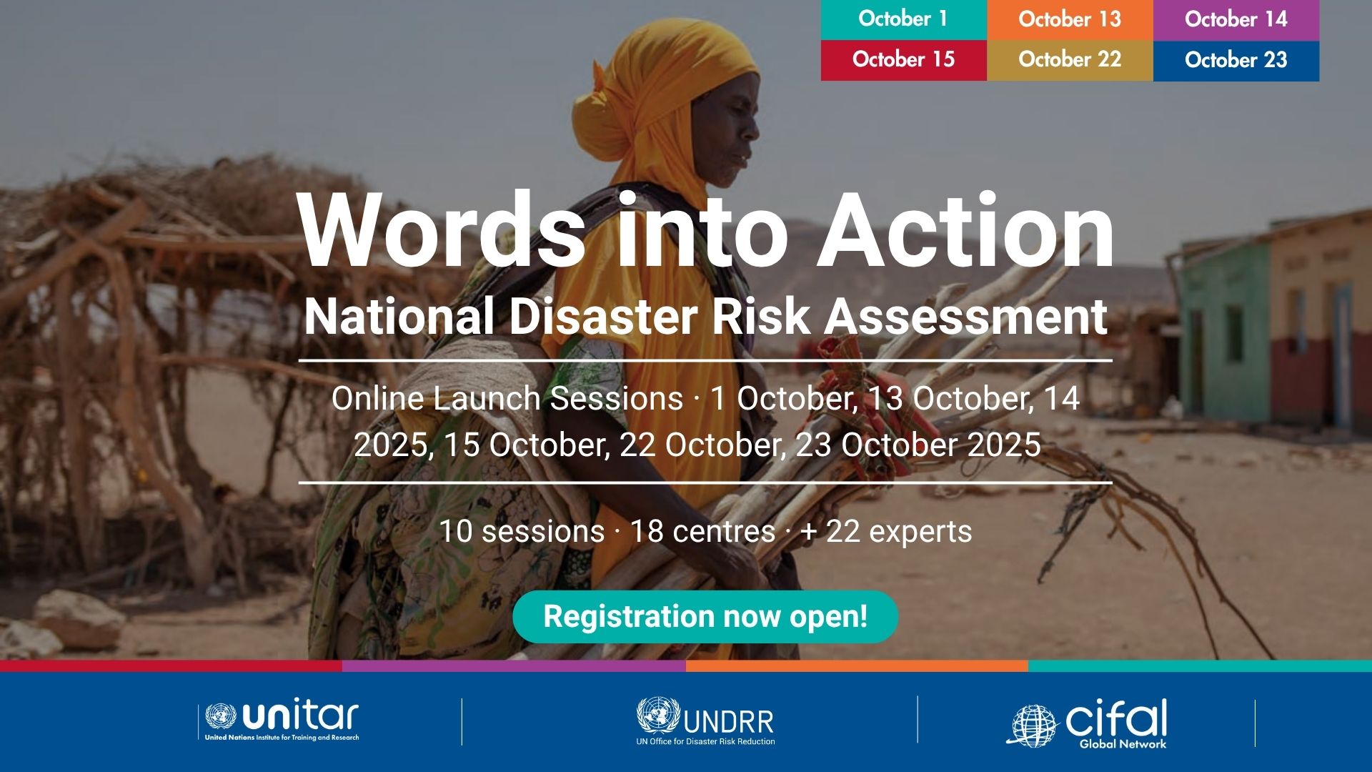 Words into Action: National Disaster Risk Assessment Online Sessions | UNITAR